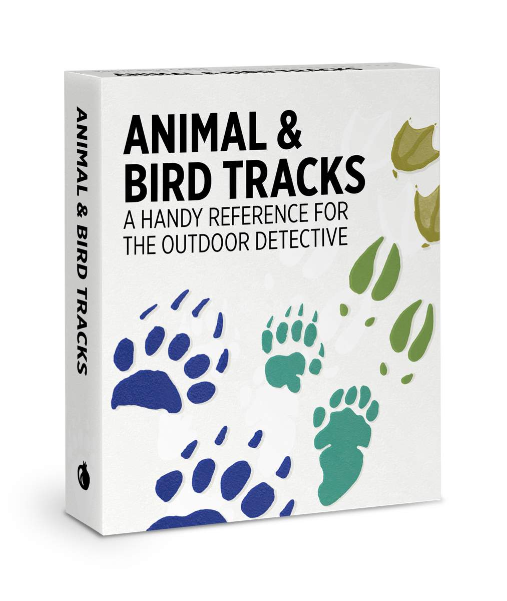 Animal & Bird Tracks: A Handy Reference for the Outdoor Detective Know ...