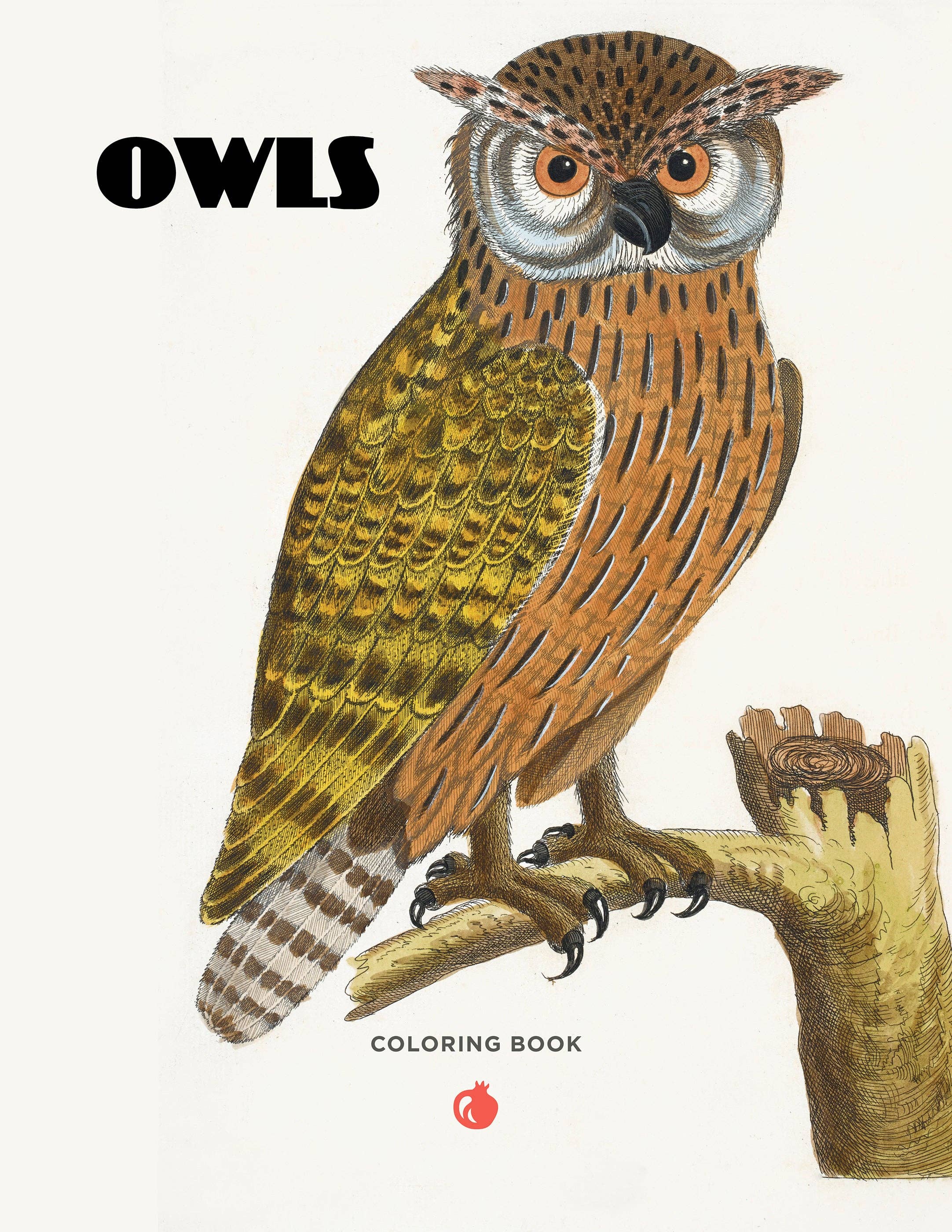 Owls Coloring Book – Kazoodles Toys